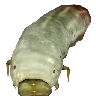Antlion Grub | Half-Life Wiki | Fandom