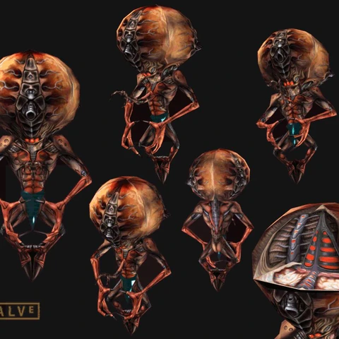 Alien Controller | Half-Life Wiki | Fandom