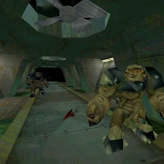 Hivehand | Half-Life Wiki | FANDOM powered by Wikia