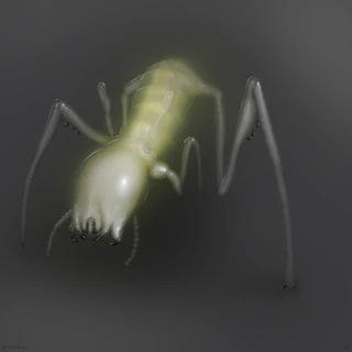 Antlion Worker | Half-Life Wiki | Fandom