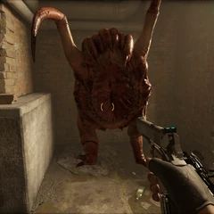 Headcrab | Half-Life & Portal Wiki | Fandom