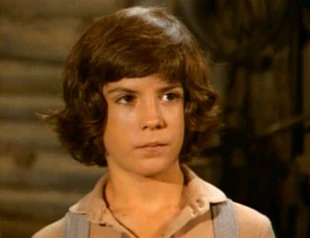 Young Albert Quinn Ingalls | Hallmark Channel the Heart of TV Wiki | Fandom