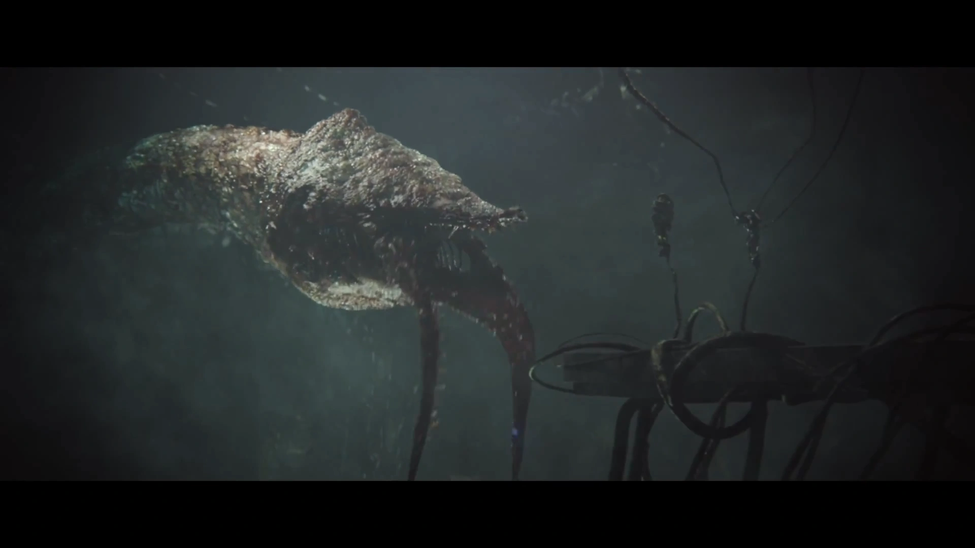 Imagen - Angulo del Gravemind en Halo 2 Anniversary.png | Halopedia ...