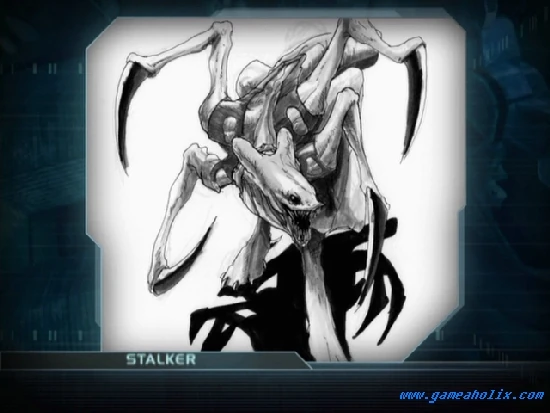 Stalker (Species) | Halo Alpha | Fandom