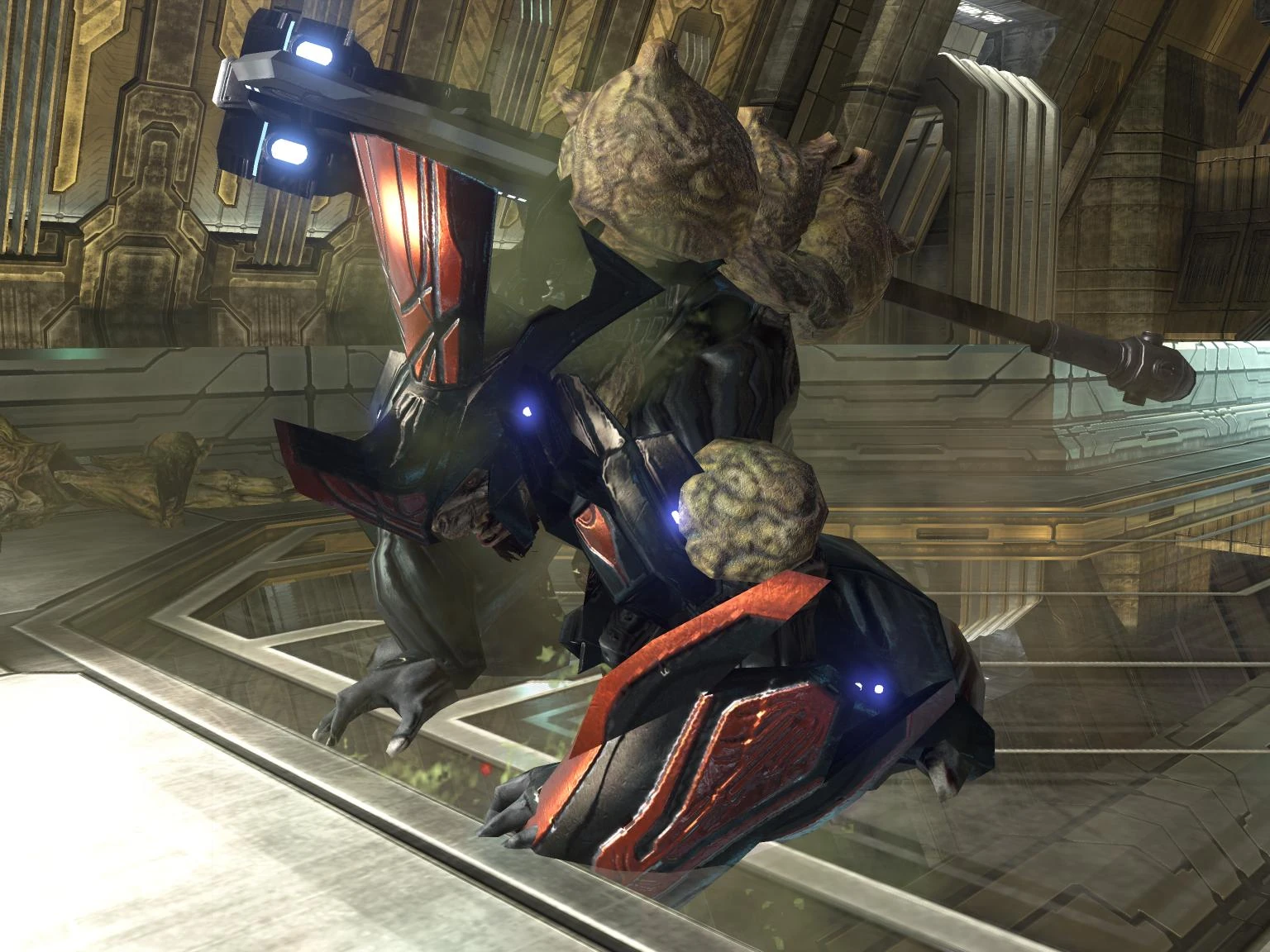 Image - FLOOD INFECTED BRUTE by victortky.jpg | Halo Nation | FANDOM ...