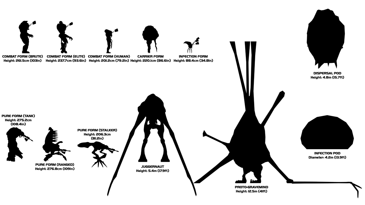 Image - 09b-Flood1.png | Halo Nation | FANDOM powered by Wikia