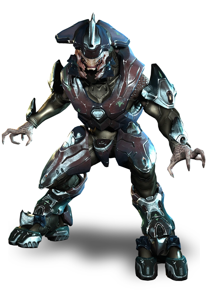 Sangheili | Halopedia | FANDOM powered by Wikia
