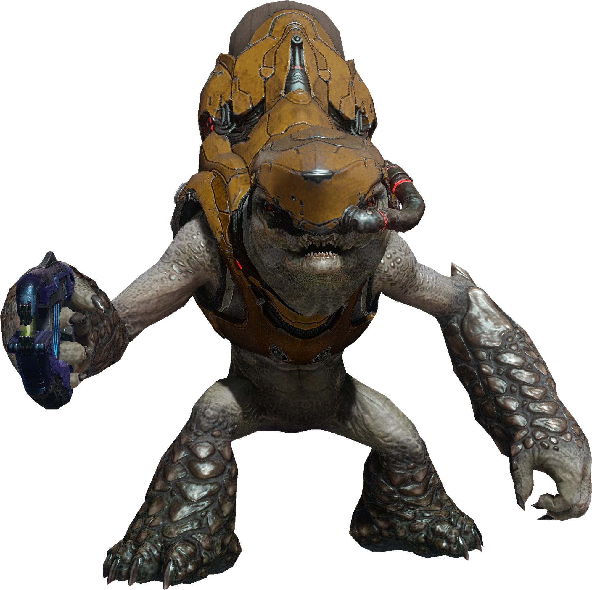 Unggoy | Halopedia | FANDOM powered by Wikia