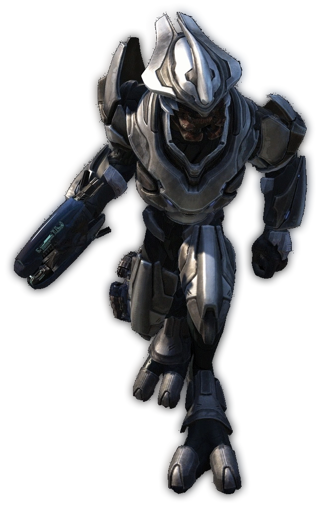Imagen - Elite oficial.png | Wiki Halo Fanon | FANDOM powered by Wikia