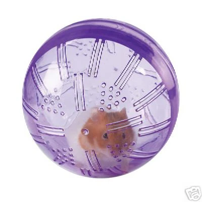 Hamster ball | Hamsters Wiki | Fandom