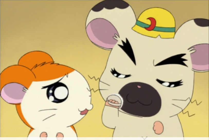 Sparkling Fashion! | The Hamtaro Wiki | Fandom