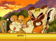 Broski | The Hamtaro Wiki | Fandom