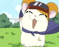 The Flying Ham-Hams! | The Hamtaro Wiki | Fandom
