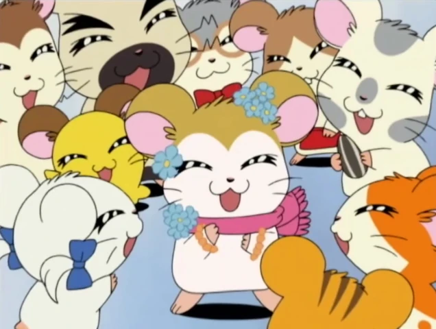 Image - 188-011.jpg | The Hamtaro Wiki | FANDOM powered by Wikia