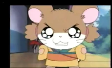 Sparkle/Gallery | The Hamtaro Wiki | Fandom