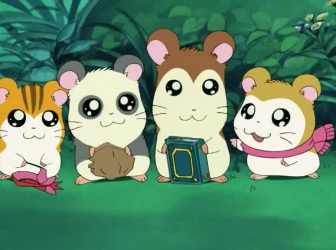 Panda/Gallery | The Hamtaro Wiki | FANDOM powered by Wikia