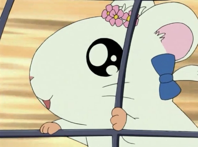 Image - 4033.png | The Hamtaro Wiki | FANDOM powered by Wikia