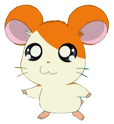 Image - Tottoko hamtaro poes 2.png | The Hamtaro Wiki | FANDOM powered ...