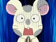 Oxnard and Pepper/Gallery | The Hamtaro Wiki | Fandom