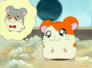 Dexter/Gallery | The Hamtaro Wiki | Fandom