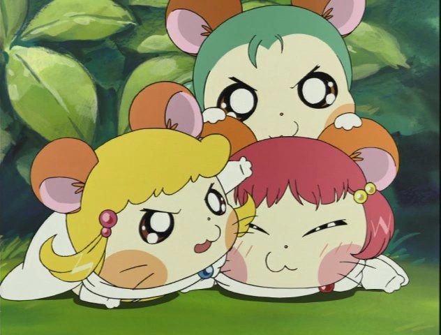 Rosy/Gallery | The Hamtaro Wiki | Fandom