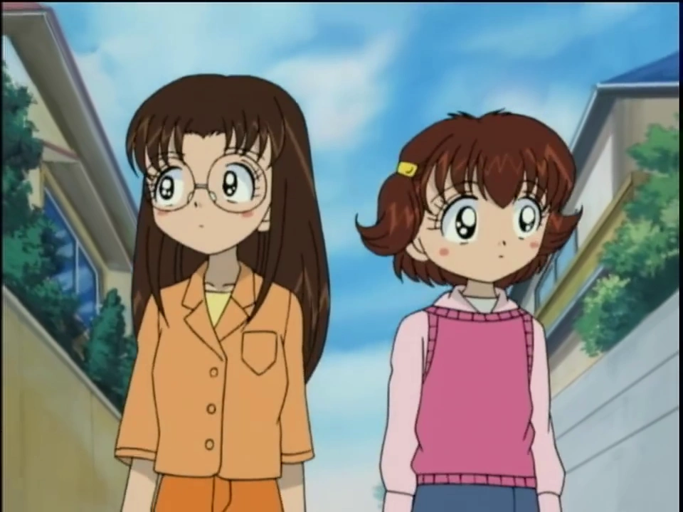 Who Stole My Shoe? | The Hamtaro Wiki | Fandom