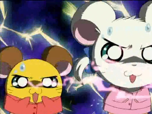 Image - 242.PNG | The Hamtaro Wiki | FANDOM powered by Wikia