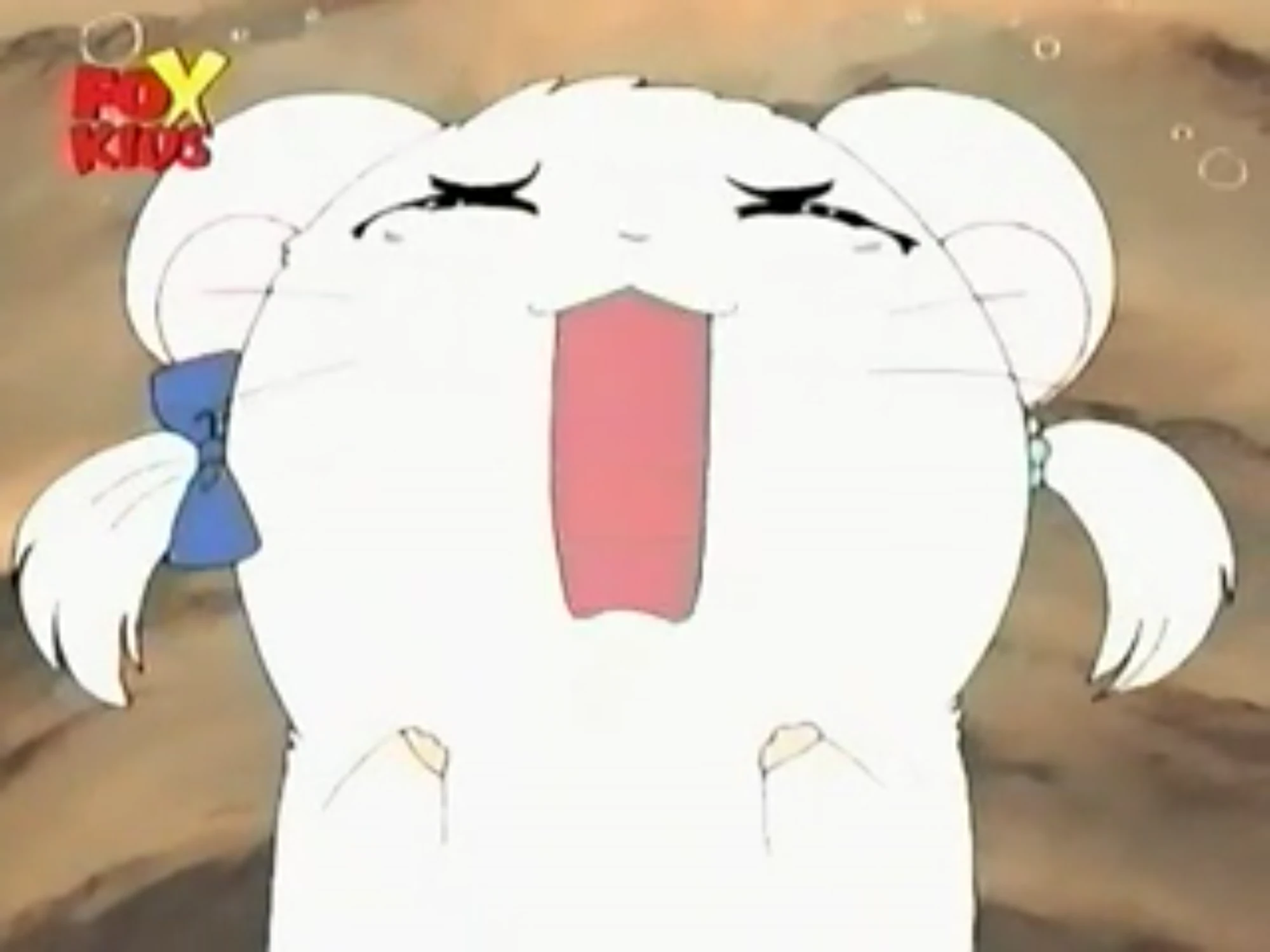 Colitas/Lacitos | Hamtaro Wiki | Fandom