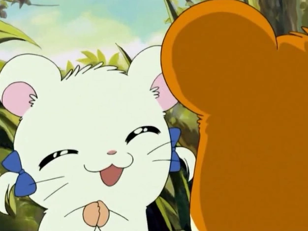 Image - 22082.png | The Hamtaro Wiki | FANDOM powered by Wikia