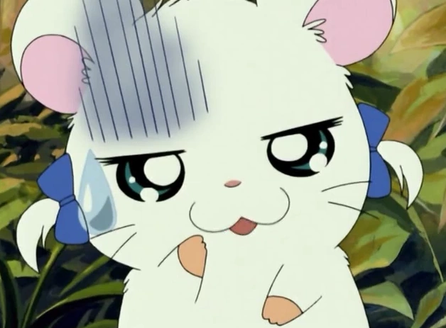 Image - 22050.png | The Hamtaro Wiki | FANDOM powered by Wikia