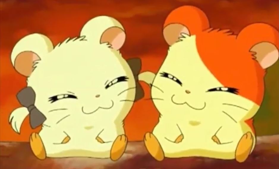 Image Bijou And Hamtaro The Hamtaro Wiki Fandom Powered By Wikia