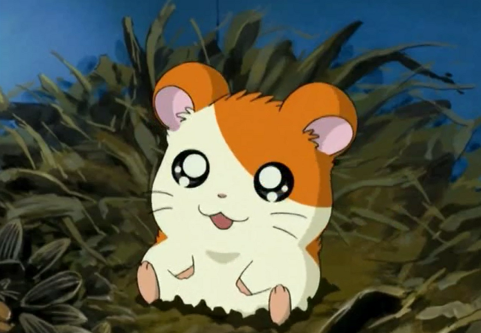 Image 18001png The Hamtaro Wiki Fandom Powered By Wikia