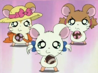 A Valentine Battle! | The Hamtaro Wiki | FANDOM powered by Wikia