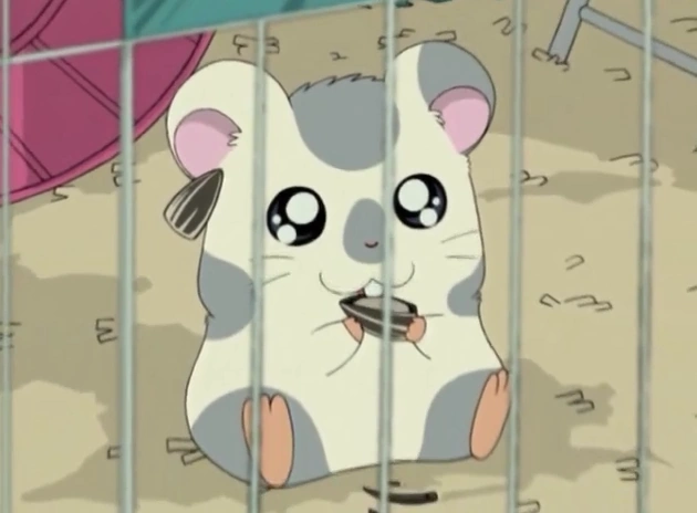 Image - 20004.png | The Hamtaro Wiki | FANDOM powered by Wikia