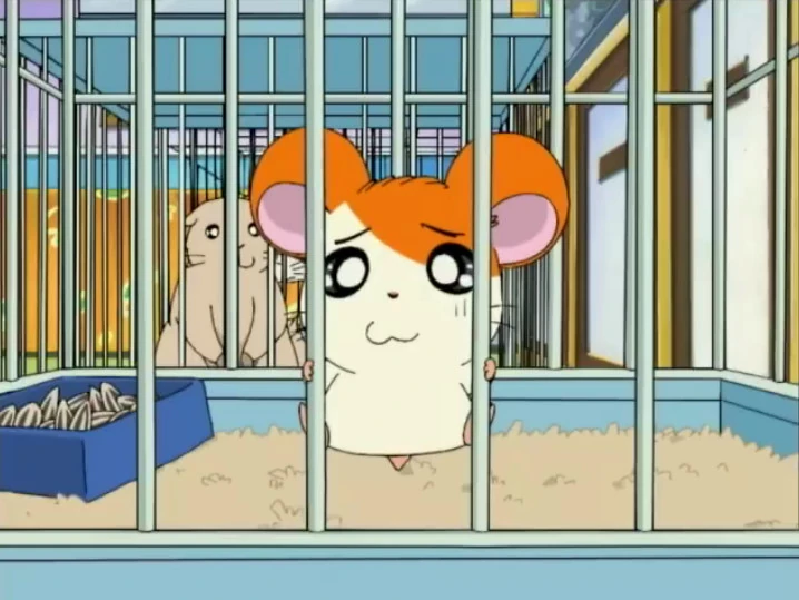 Oh No, Hamtaro! | The Hamtaro Wiki | Fandom
