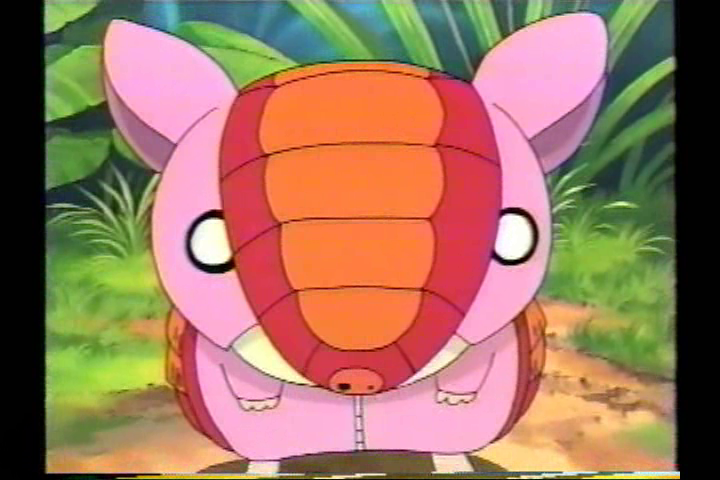 Armadillo The Hamtaro Wiki Fandom Powered By Wikia