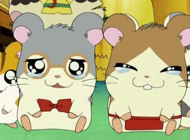 Image - 22119.png | The Hamtaro Wiki | FANDOM powered by Wikia