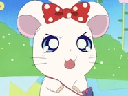 Lazuli/Gallery | The Hamtaro Wiki | Fandom
