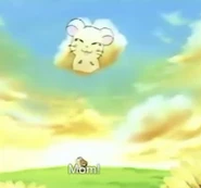 Happy Birthday Hamtaro Special! | The Hamtaro Wiki | Fandom