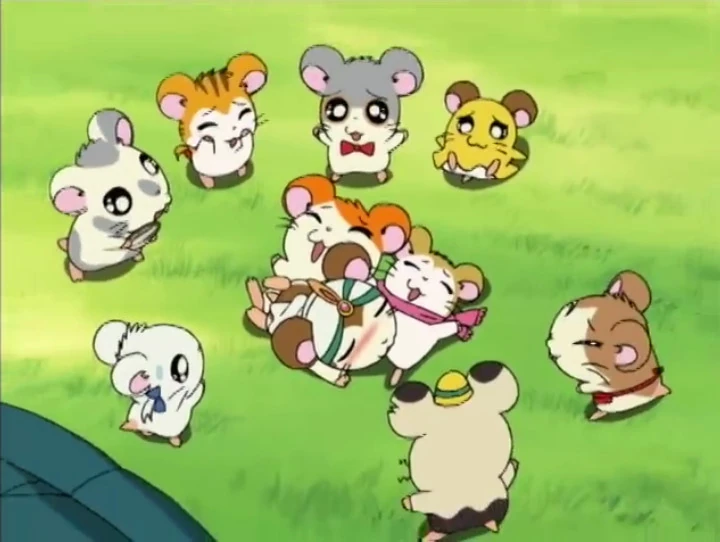 Snoozer and Turtly/Gallery | The Hamtaro Wiki | Fandom