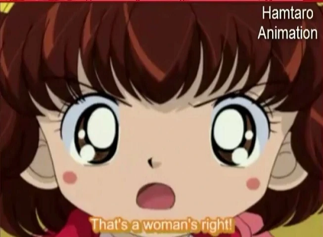 Image - IMG 20150603 225923.jpg | The Hamtaro Wiki | FANDOM powered by ...