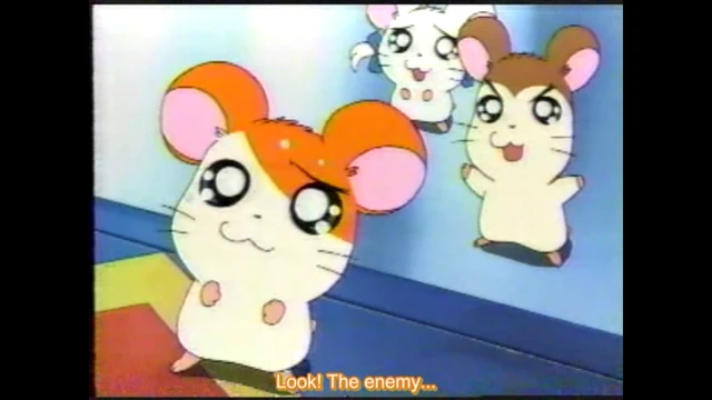 Image - Screenshot 2015-07-14-00-05-16.png | The Hamtaro Wiki | FANDOM ...