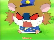 Sparkle/Gallery | The Hamtaro Wiki | Fandom