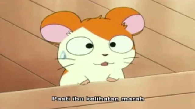 Image - IMG 20150511 230038.jpg | The Hamtaro Wiki | FANDOM powered by ...