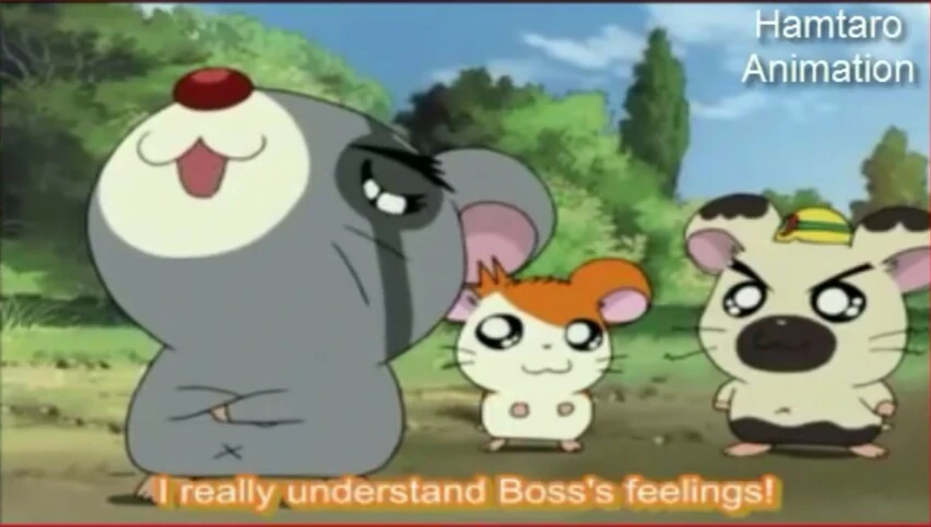 Sabu/Gallery | The Hamtaro Wiki | Fandom