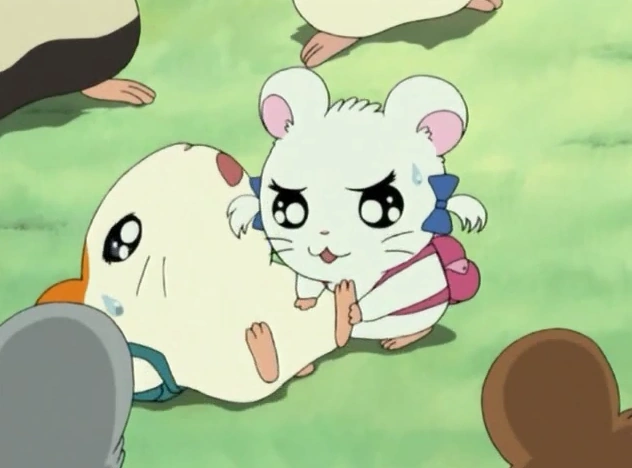 Image - 15100.png | The Hamtaro Wiki | FANDOM powered by Wikia