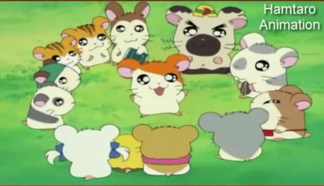 Image - IMG 20150601 221614.jpg | The Hamtaro Wiki | FANDOM powered by ...
