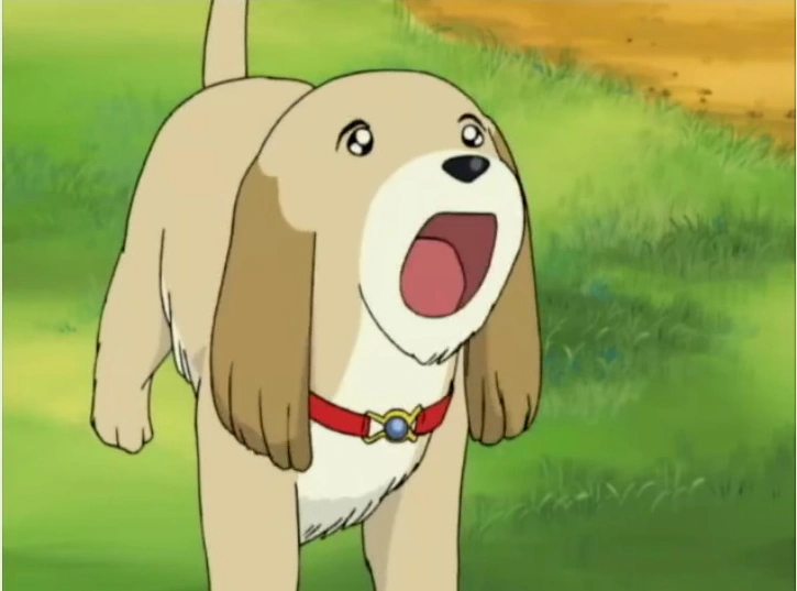 Princess | The Hamtaro Wiki | Fandom