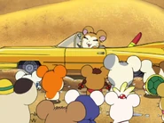 Broski | The Hamtaro Wiki | Fandom
