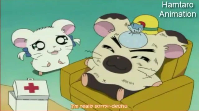 Image - IMG 20150601 223410.jpg | The Hamtaro Wiki | FANDOM powered by ...